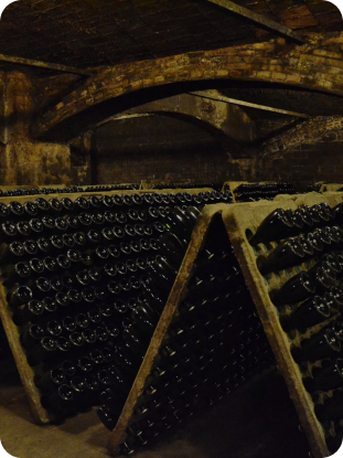 DO Cava - Catalan Wines